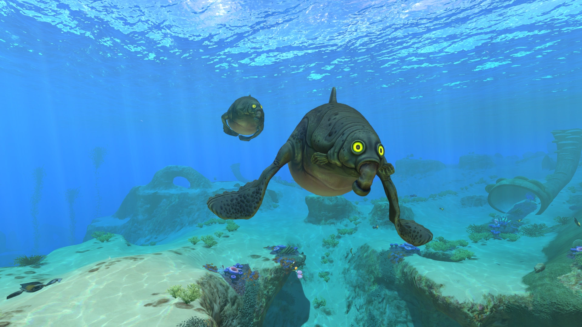 Bancs calmes | Wikia Subnautica | Fandom