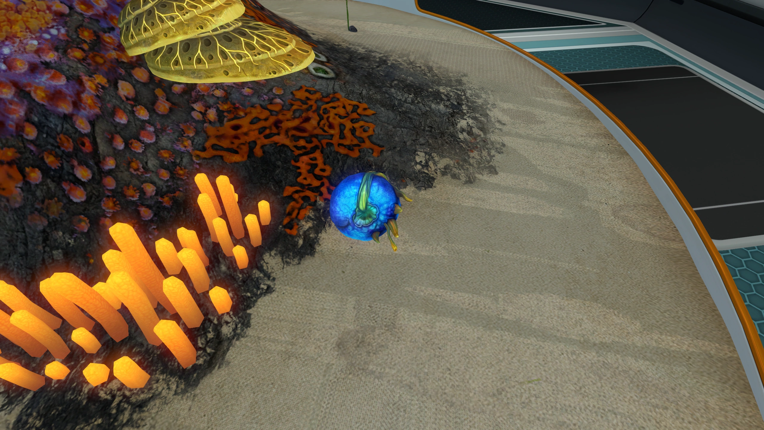 Œufs | Wikia Subnautica | Fandom