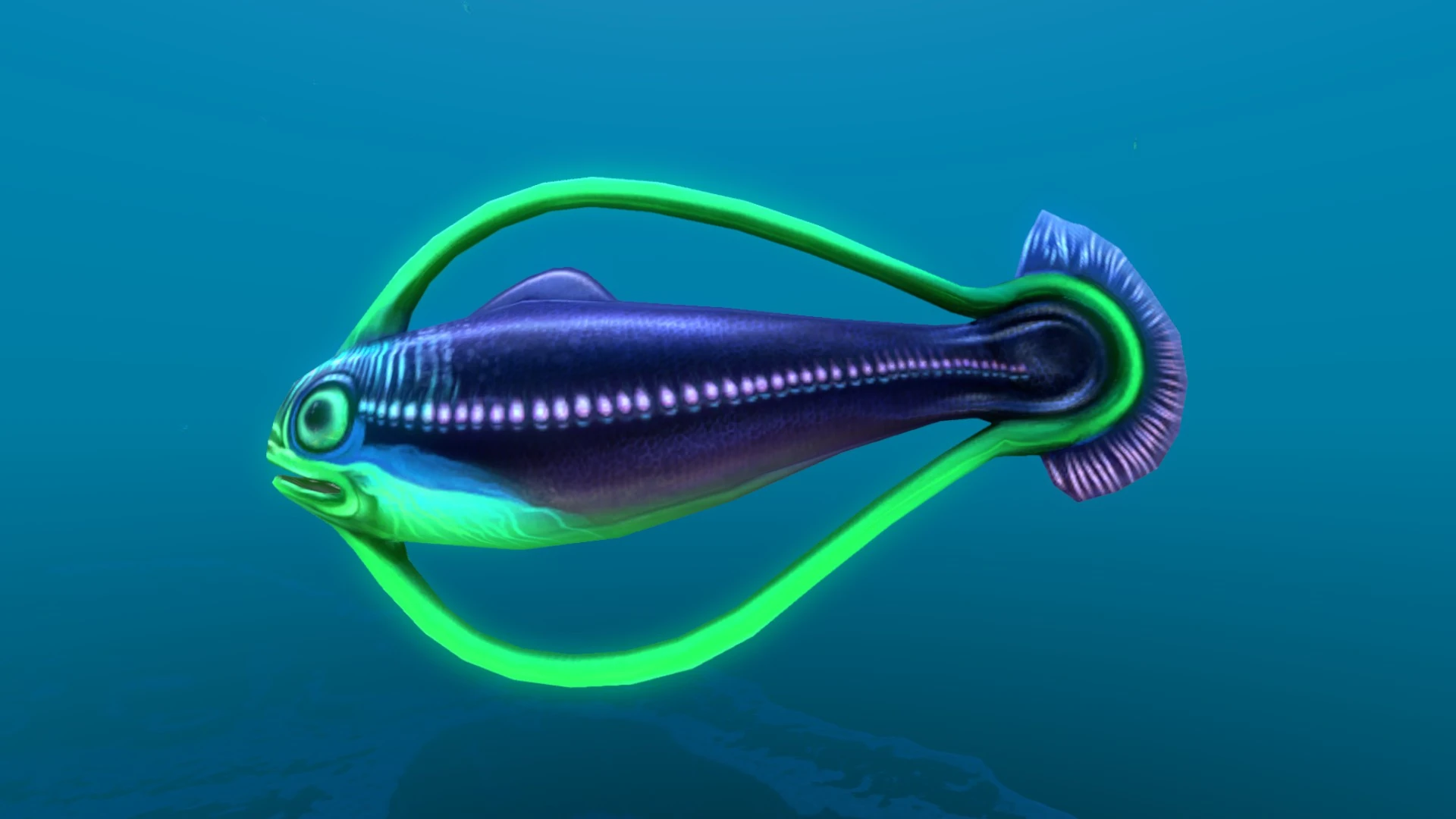 Image - Hoopfish up close.jpg | Subnautica Wiki | FANDOM powered by Wikia