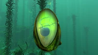 Stalker | Subnautica Wiki | Fandom
