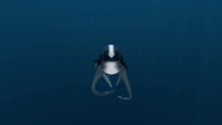 Cuddlefish | Subnautica Wiki | Fandom