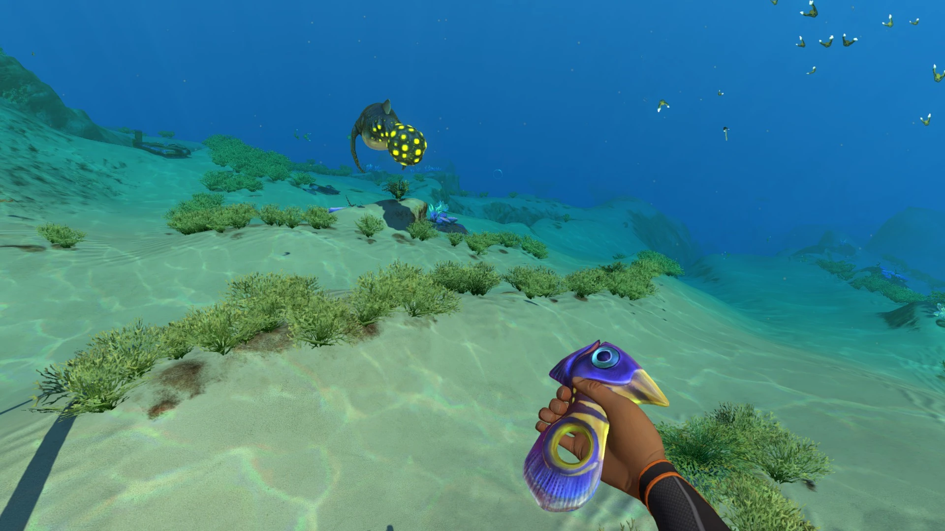 Holefish | Wikia Subnautica | Fandom