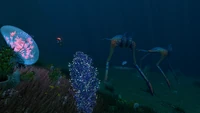 Sea Treader's Path | Subnautica Wiki | FANDOM powered by Wikia