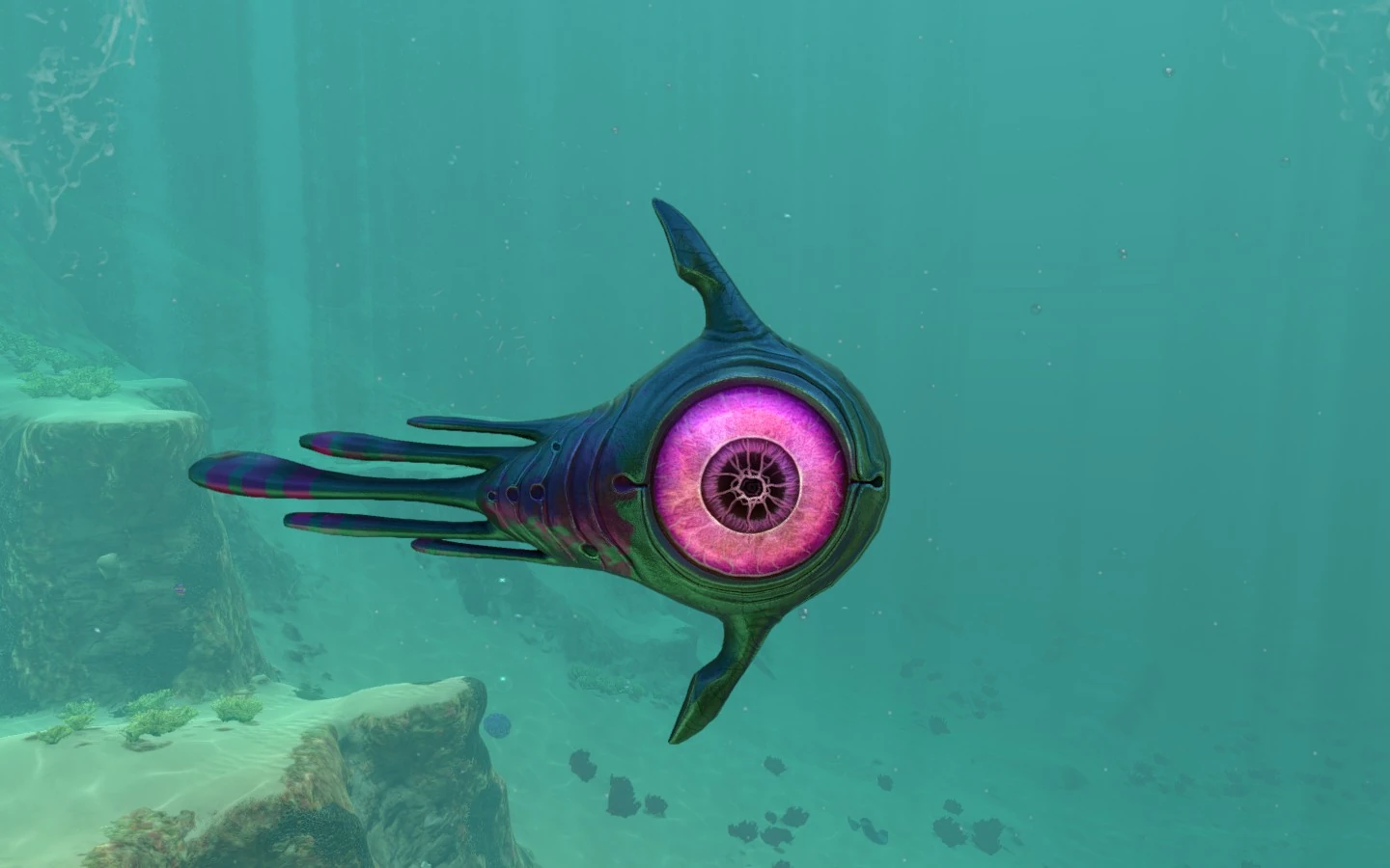 Image - Life-form oculus.jpg | Subnautica Wiki | FANDOM powered by Wikia
