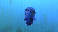 Sand Shark | Subnautica Wiki | Fandom