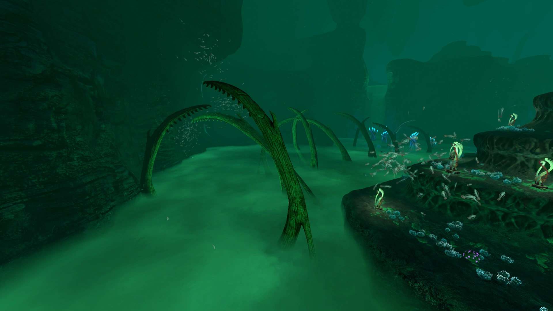 Image - LRBF Small Skeleton.png | Subnautica Wiki | FANDOM powered by Wikia