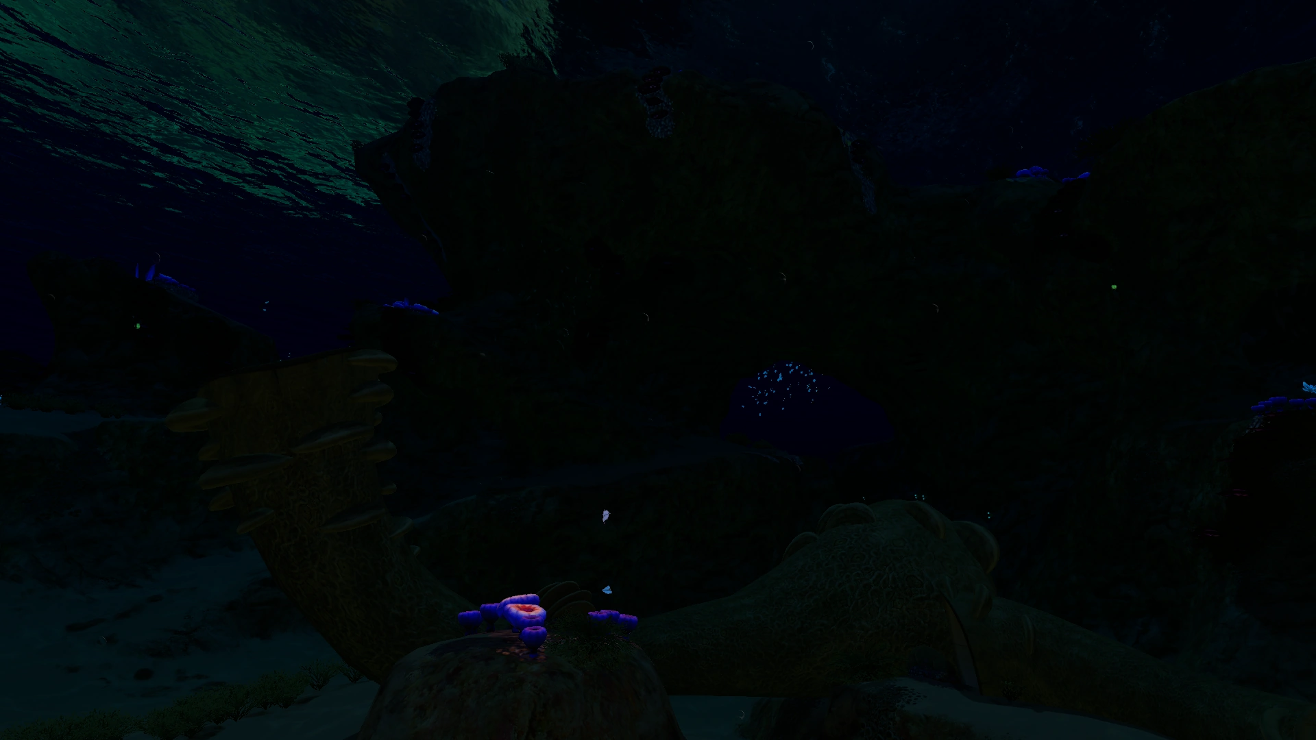 Bancs calmes | Wikia Subnautica | Fandom