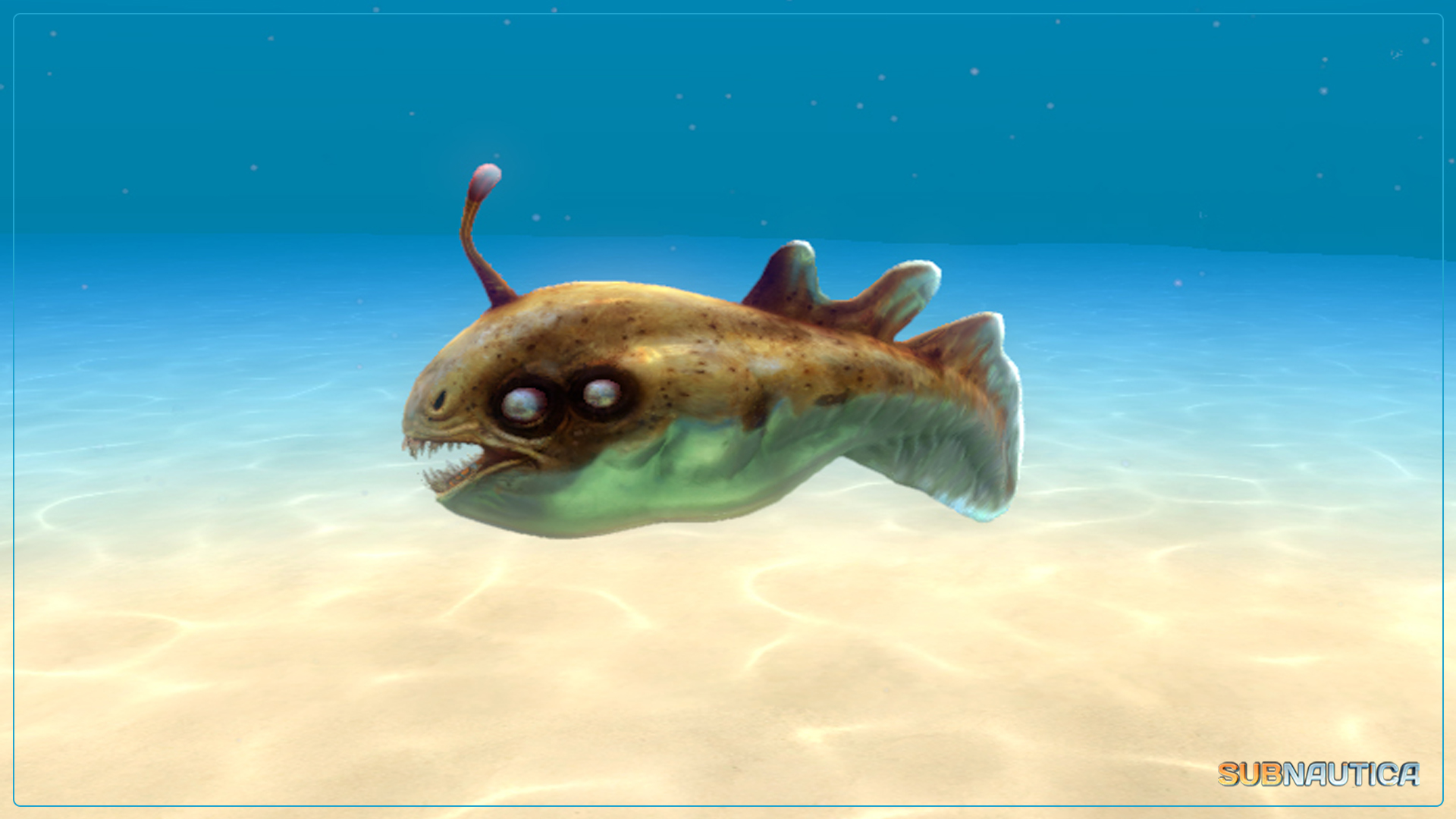 Image - Biter fish 02 in game.jpg | Subnautica Wiki | FANDOM powered by ... Image - Biter fish 02 in game.jpg | Subnautica Wiki | FANDOM powered by ...