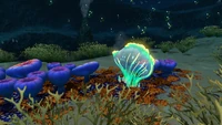 Sea Crown | Subnautica Wiki | FANDOM powered by Wikia
