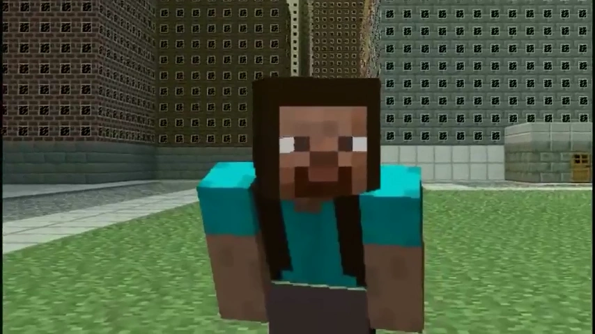 Female Steve | SuperMarioGlitchy4 Wiki | Fandom