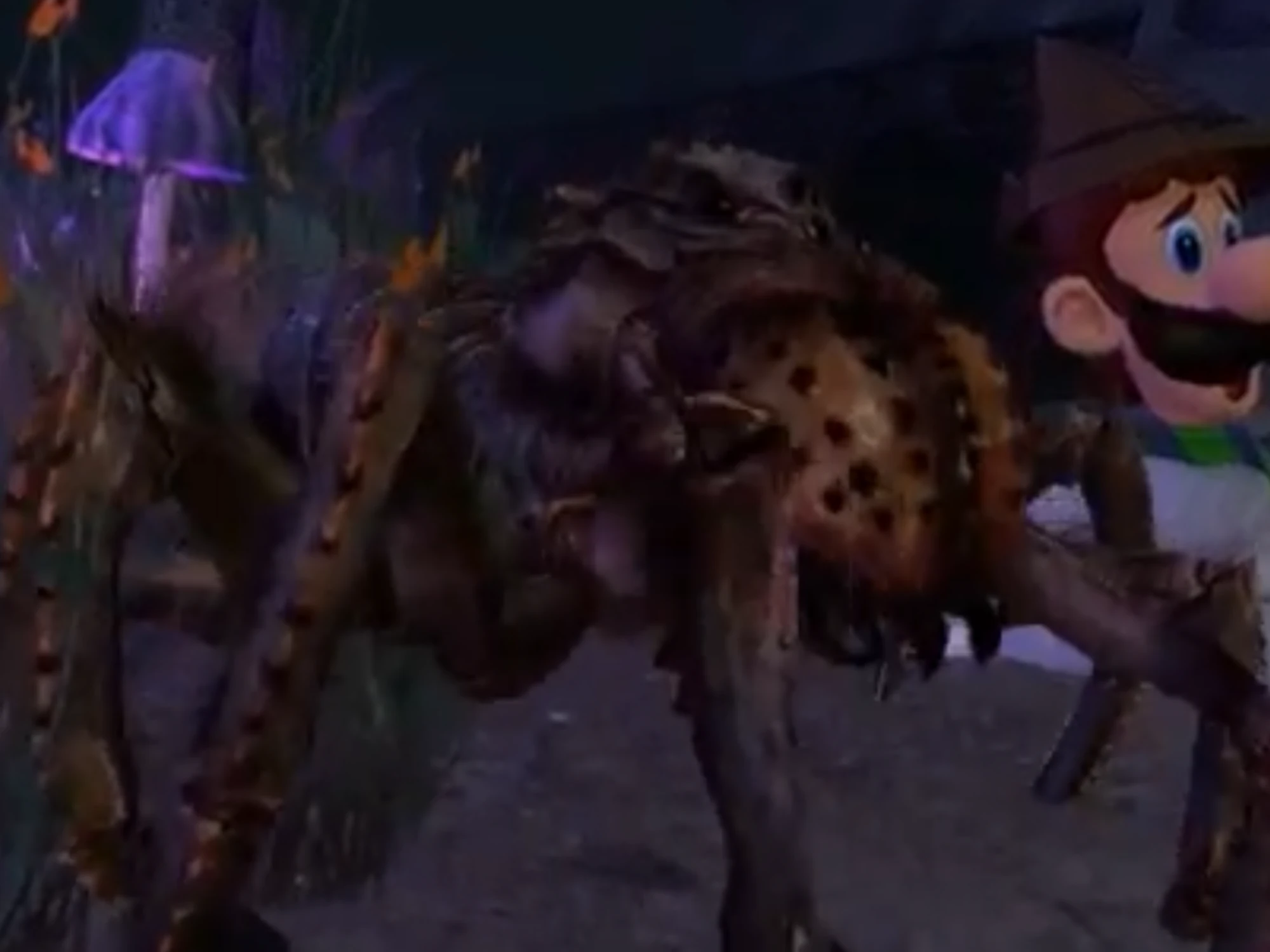 Spiders | SuperMarioGlitchy4 Wiki | Fandom