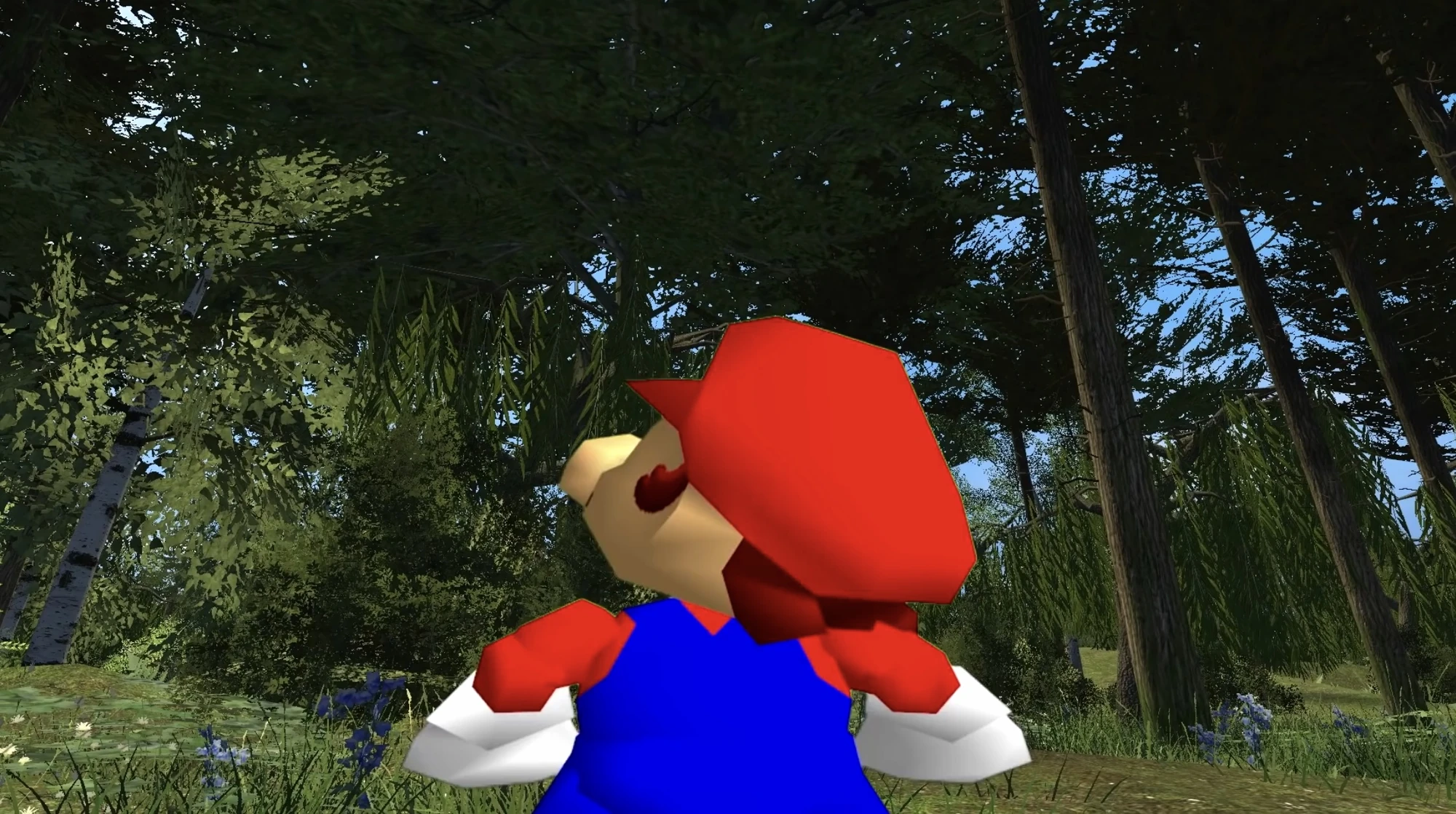 Internet Graveyard | SuperMarioGlitchy4 Wiki | Fandom