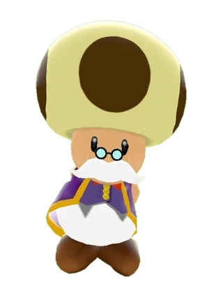 Toadsworth | SuperMarioGlitchy4 Wiki | Fandom