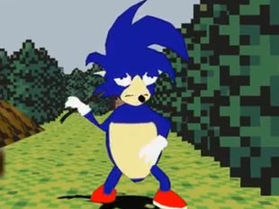 Bootleg Sonic | SuperMarioGlitchy4 Wiki | Fandom