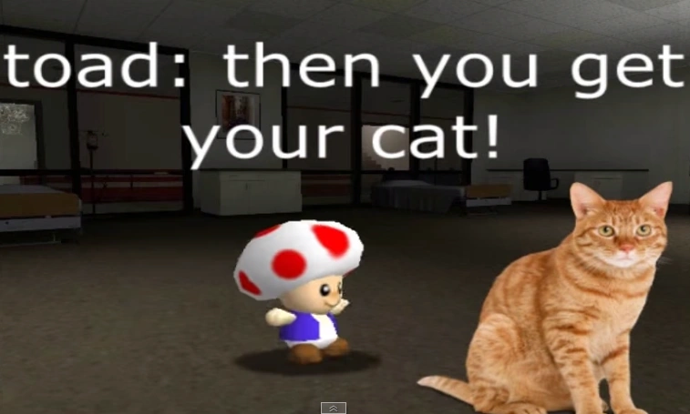 Tabby cat | SuperMarioGlitchy4 Wiki | Fandom