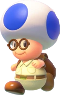 Immagine - Blue Toad with Glasses.png | Mario Wiki | FANDOM powered by ...