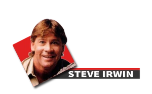 Steve Irwin | Super Smash Bros. Fanon | Fandom
