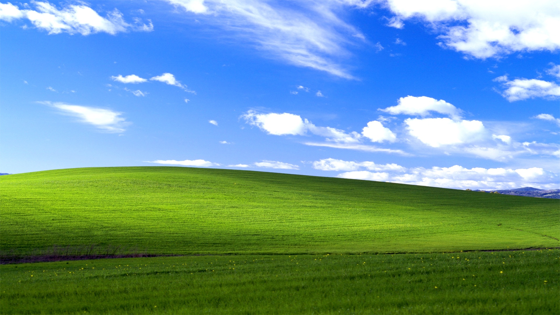 Обои на рабочий стол Windows 11 4k
