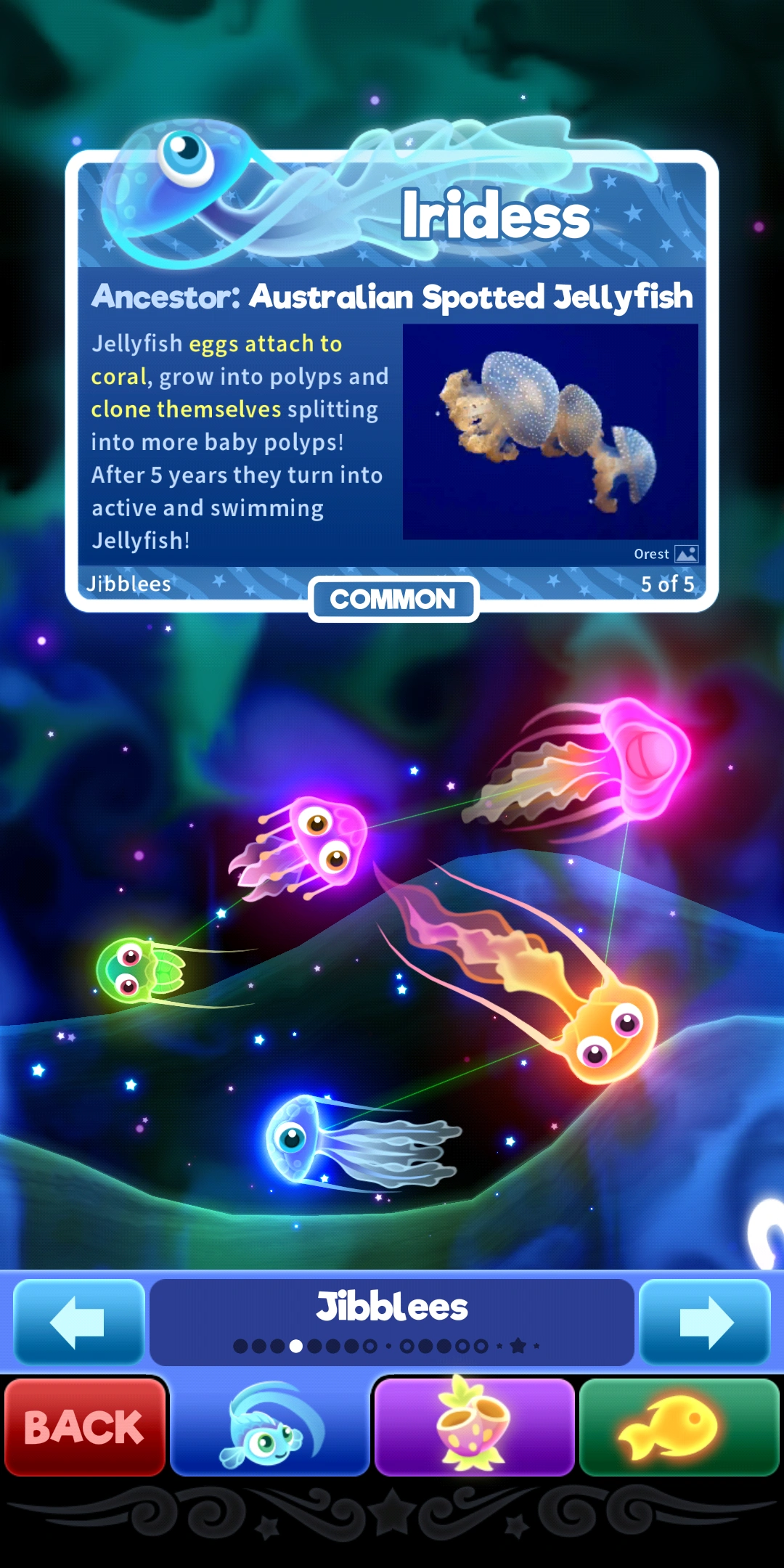 Iridess | Super Starfish Wiki | Fandom