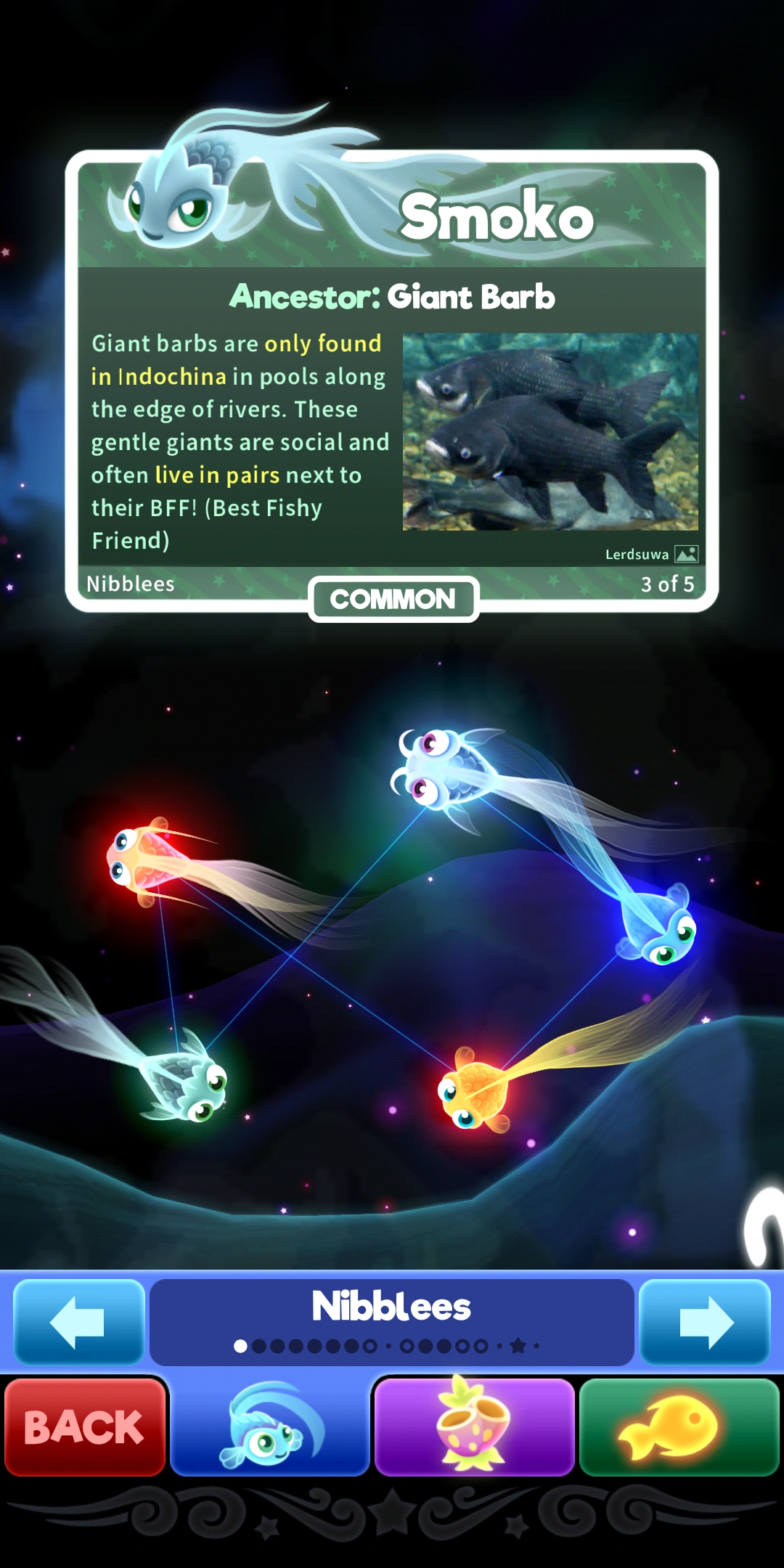 Smoko | Super Starfish Wiki | Fandom