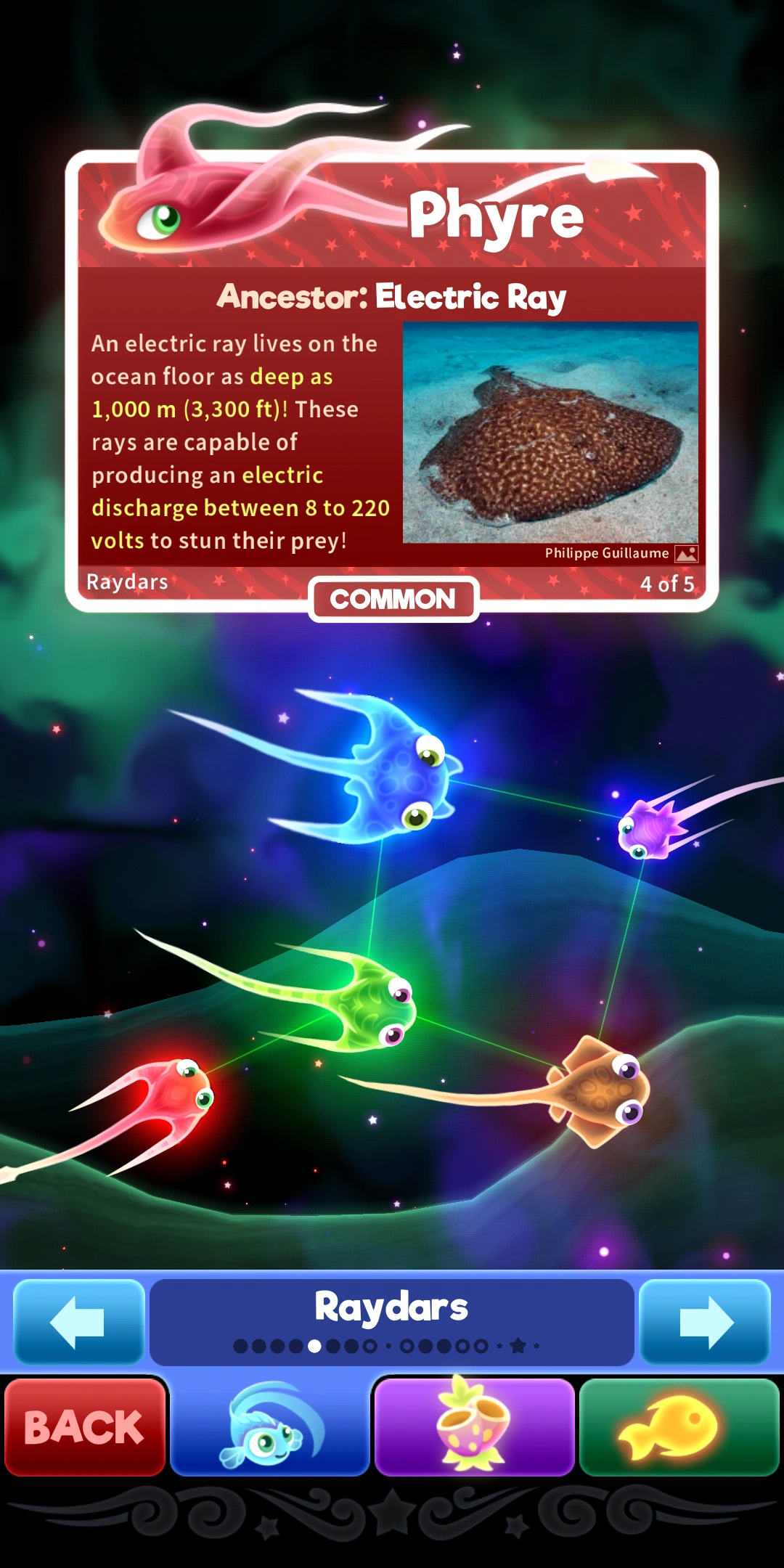 Phyre | Super Starfish Wiki | Fandom