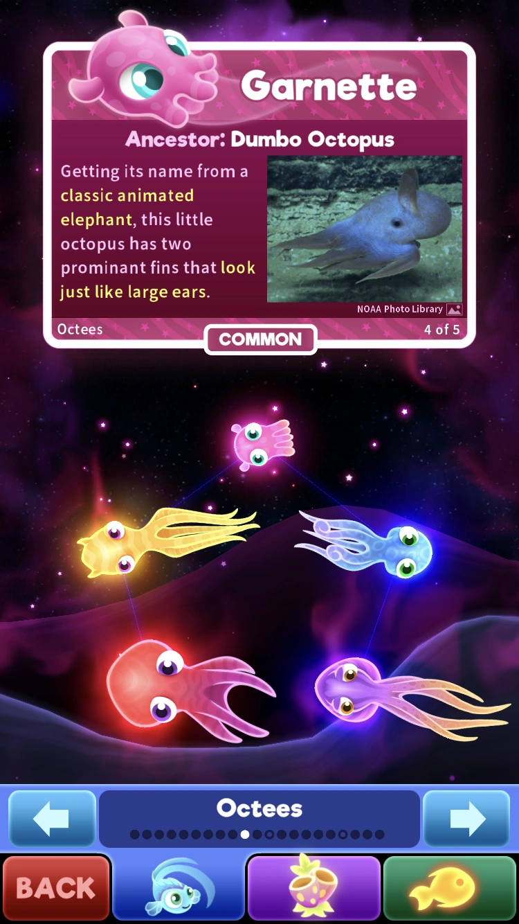 Garnette | Super Starfish Wiki | Fandom