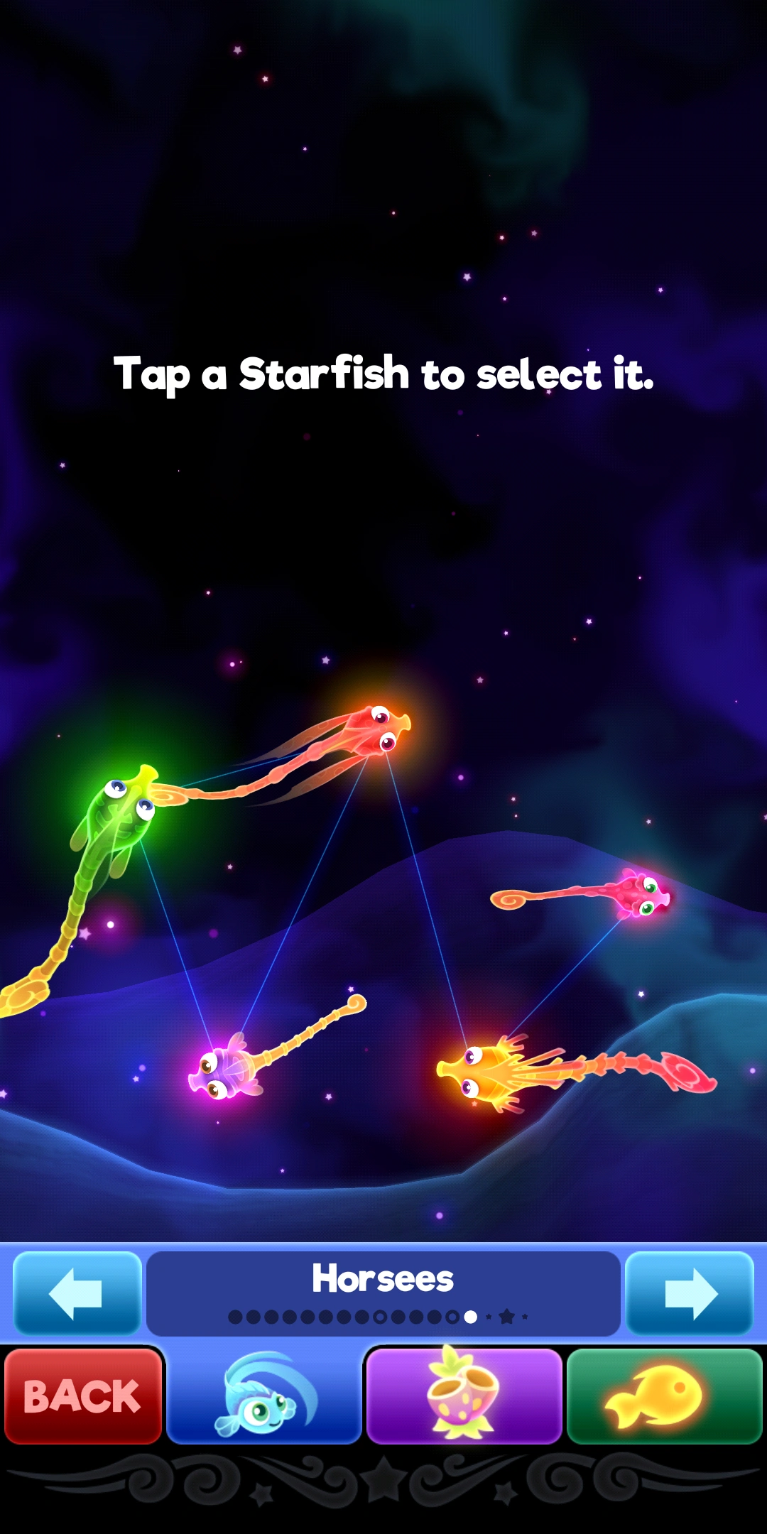 Horsees | Super Starfish Wiki | Fandom