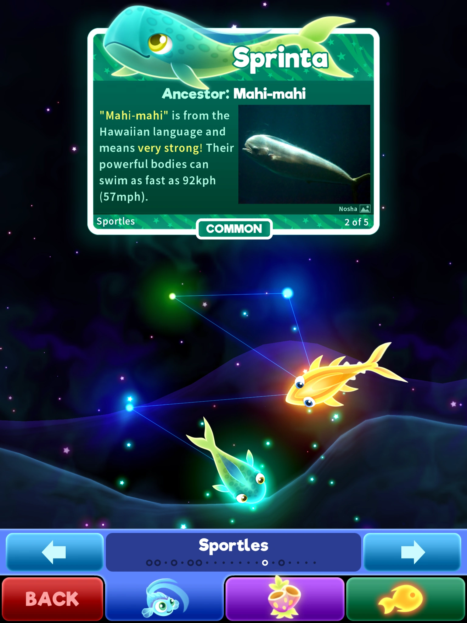 Sprinta | Super Starfish Wiki | Fandom