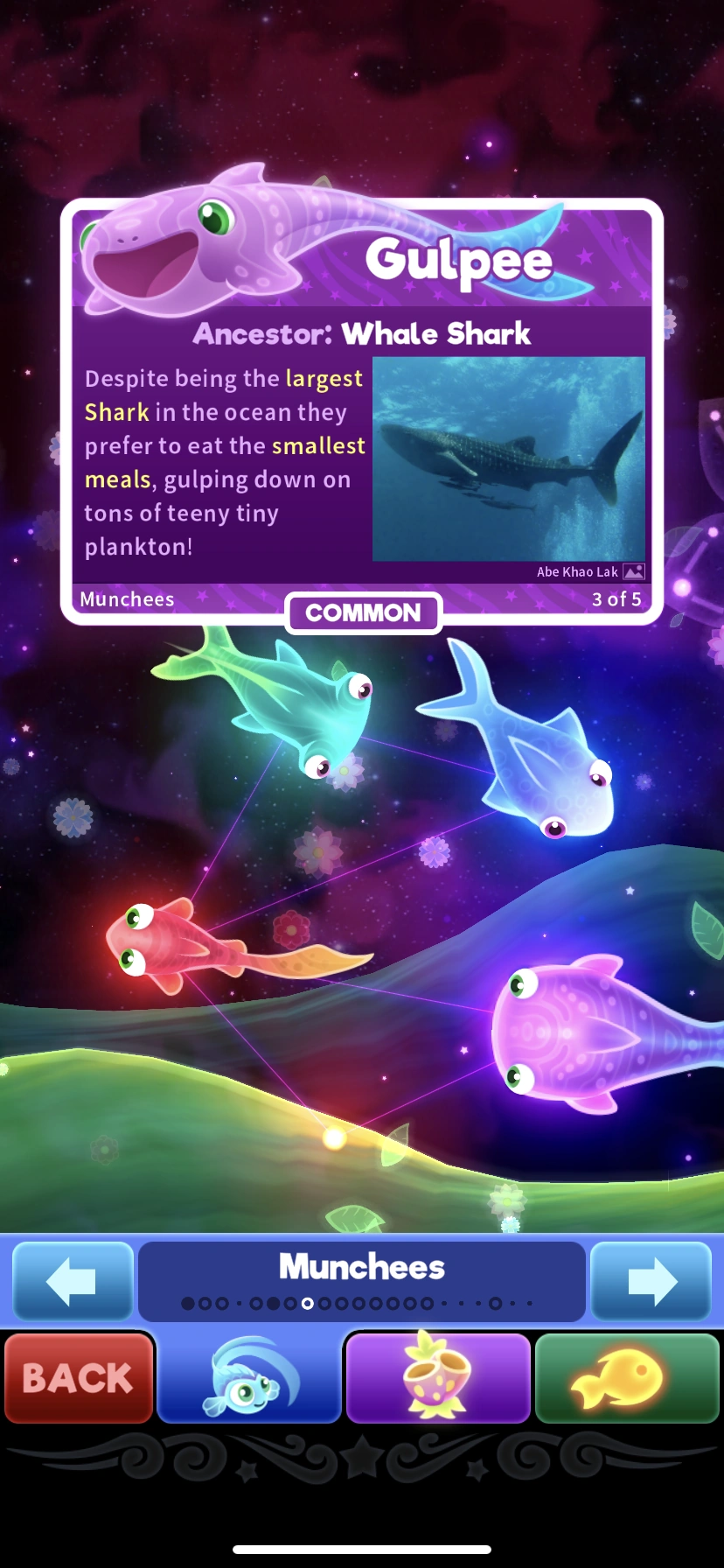 Gulpee | Super Starfish Wiki | Fandom