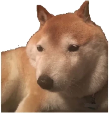 Shiber | Surreal Memes Wiki | Fandom