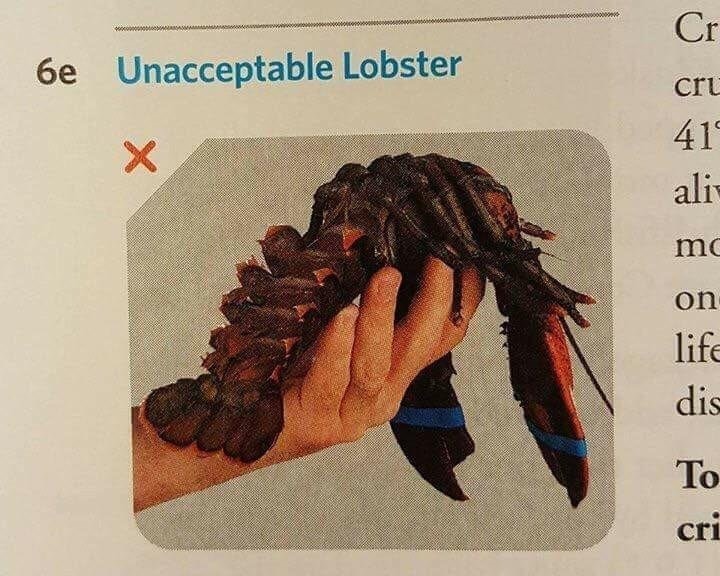 Lobster Surreal Memes Wiki Fandom Powered By Wikia