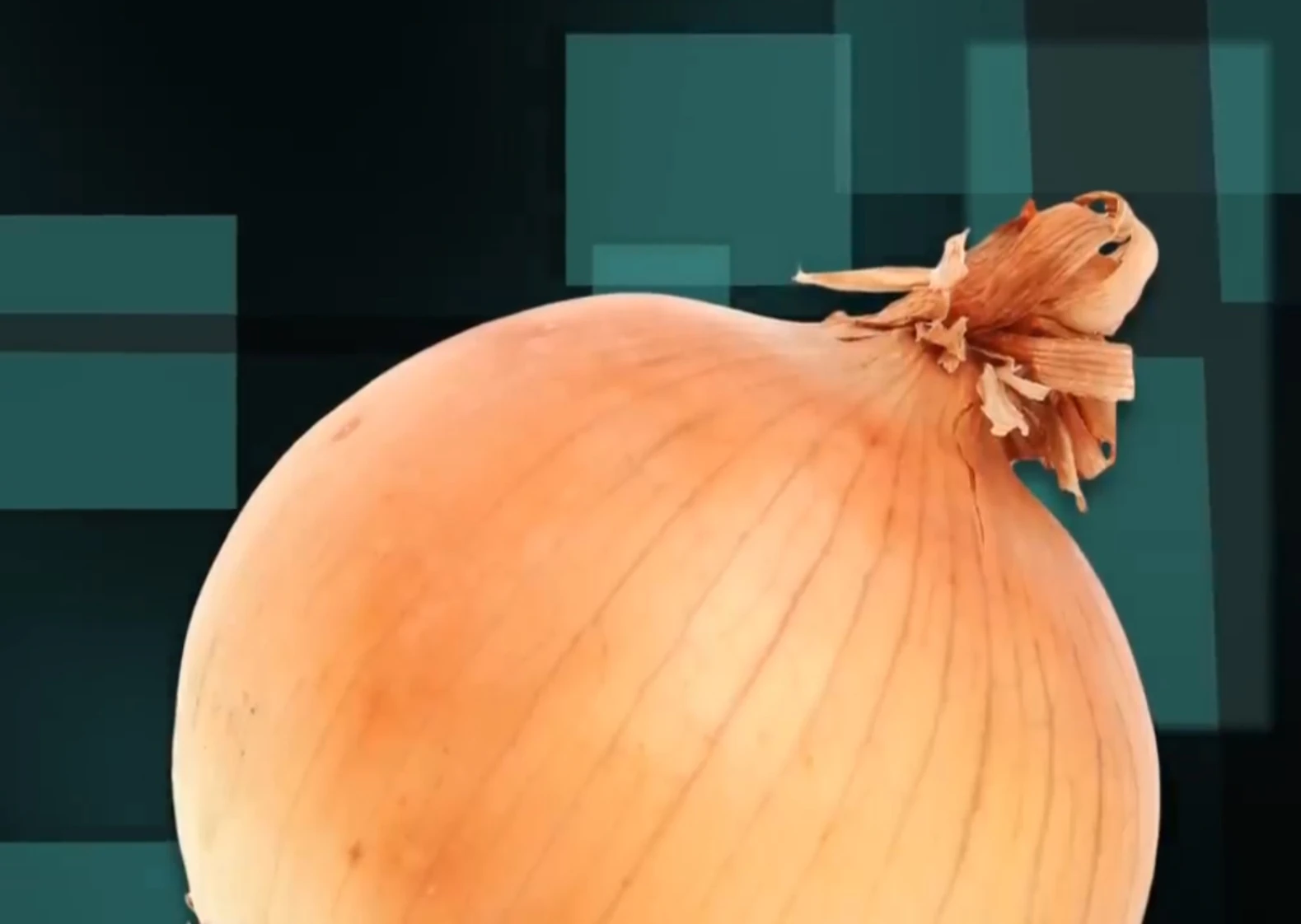 Onion Bot | Surreal Memes Wiki | Fandom