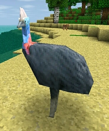 Cassowary | SurvivalCraft Wiki | Fandom