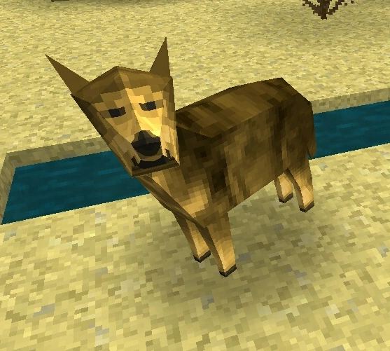 Coyote | SurvivalCraft Wiki | FANDOM powered by Wikia