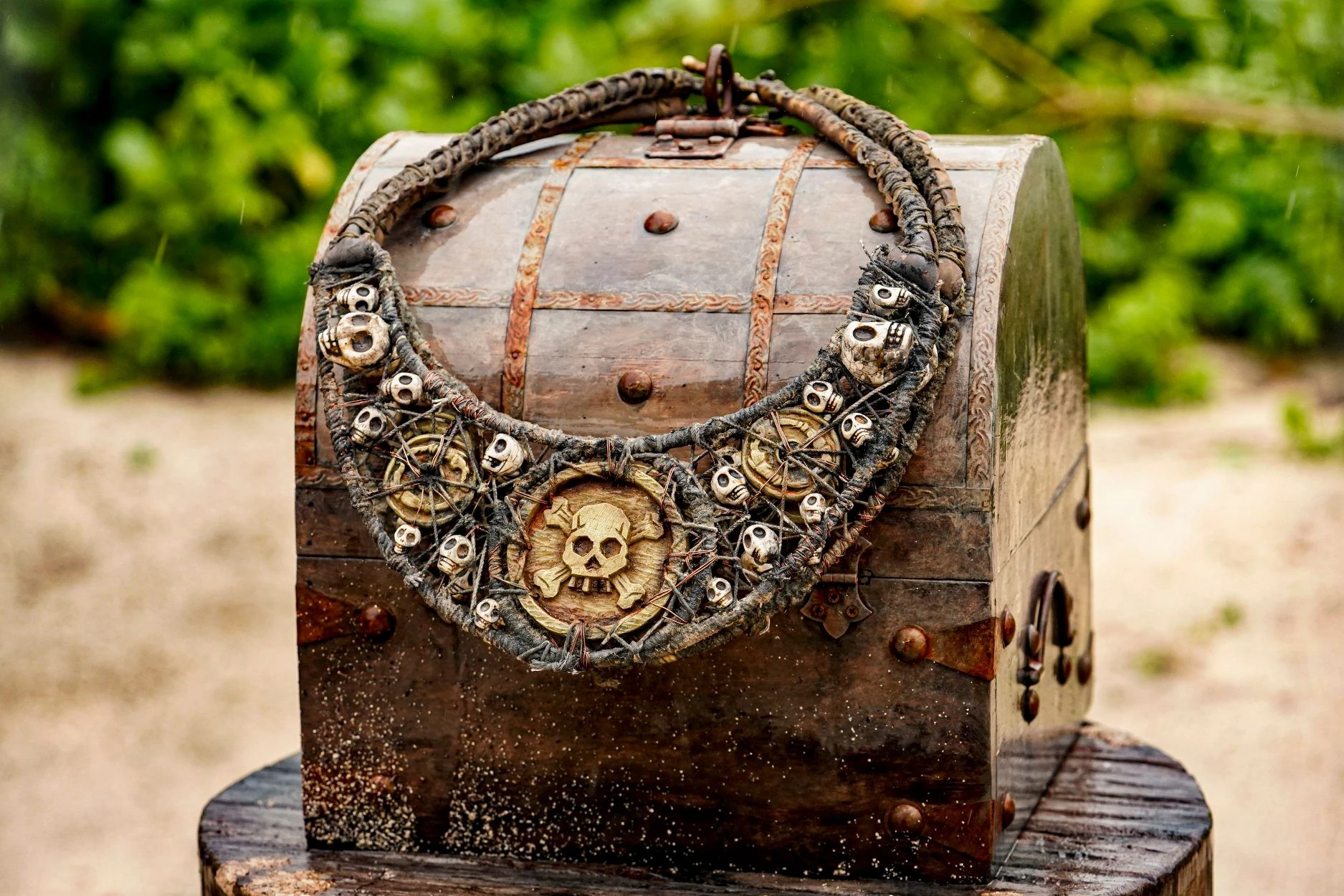 Immunity Necklace | Survivor Wiki | Fandom