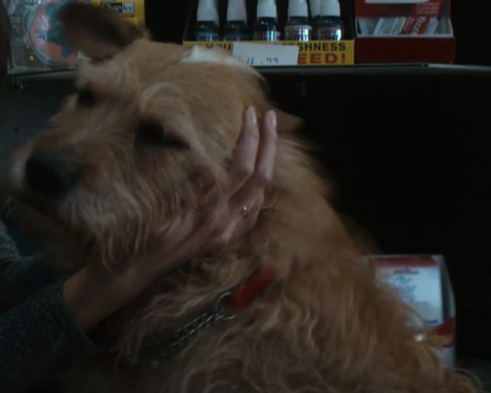 Mutt | Swamp Thing Wiki | Fandom