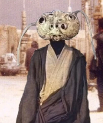 Wioslea | Star Wars Fanon | Fandom