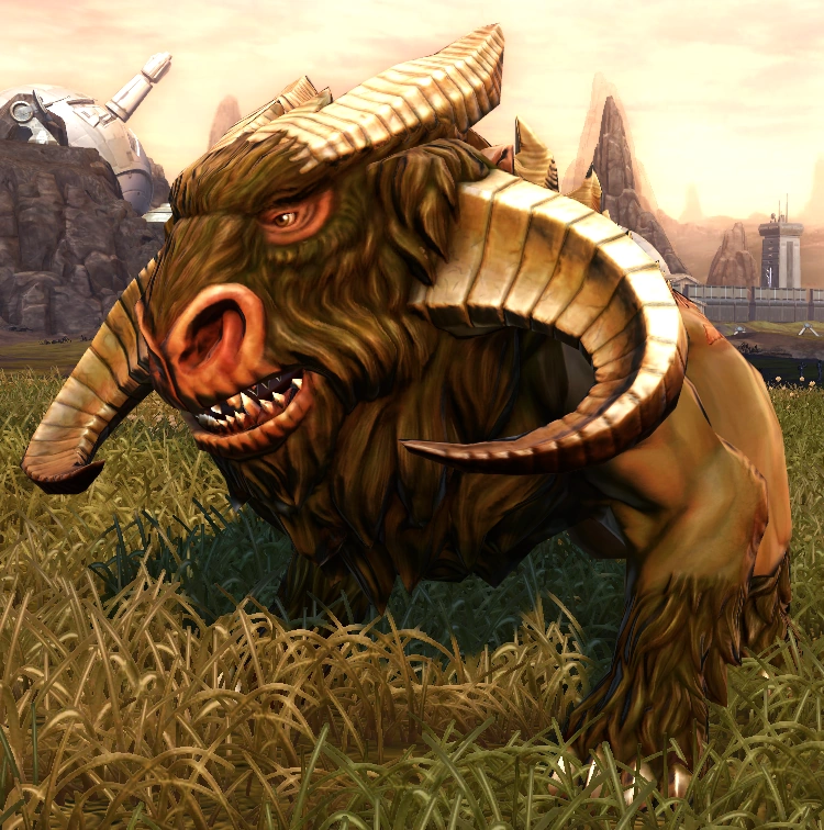 Kath hounds | Star Wars: The Old Republic Wiki | FANDOM powered by Wikia