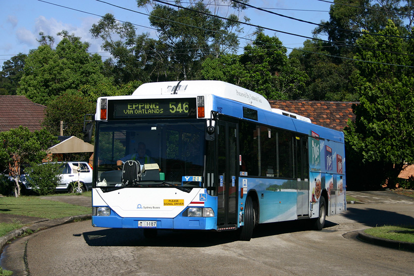 Route 546 | Sydney Buses Wiki | FANDOM powered by Wikia
