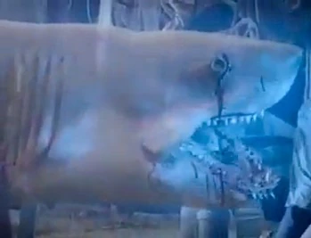 Ghost shark (monster) | Syfy channel Wiki | Fandom