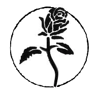 Black Rose | Symbolism Wiki | Fandom