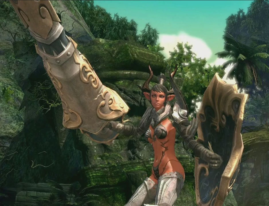 Image Castanic Lancerpng Tera Wiki Fandom Powered By Wikia