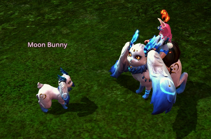 Pet | TERA Wiki | Fandom