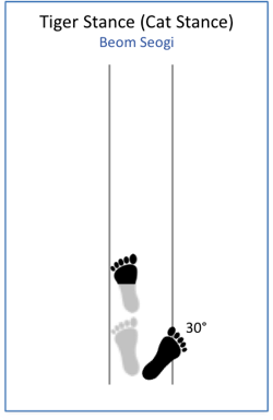 Tiger Stance | Taekwondo Wiki | Fandom