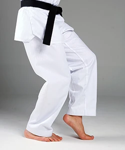 Tiger Stance | Taekwondo Wiki | Fandom