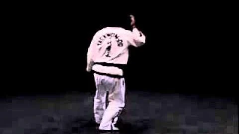 Joong-Gun | Taekwondo Wiki | Fandom