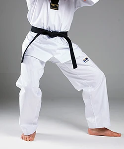 Back Stance | Taekwondo Wiki | Fandom