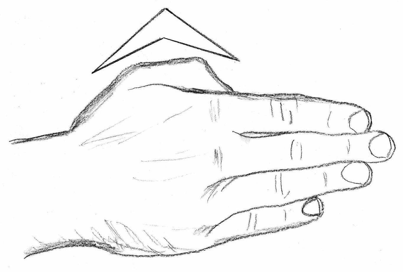 Ridgehand Strike | Taekwondo Wiki | Fandom