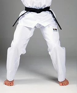 Horse Stance | Taekwondo Wiki | Fandom