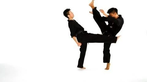 Crescent Kick | Taekwondo Wiki | Fandom
